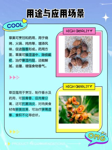 草寇图片的功效与作用_草寇与草豆蔻区别-第2张图片-山城妙识