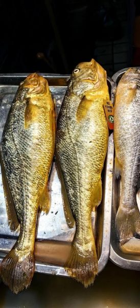 大一点的黄花鱼怎么做好吃_黄花鱼清蒸还是红烧-第2张图片-山城妙识 大一点的黄花鱼怎么做好吃_黄花鱼清蒸还是红烧-第2张图片-山城妙识