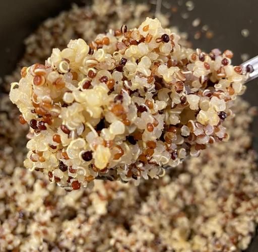 藜麦米怎么煮好吃_藜麦米的正确吃法-第1张图片-山城妙识