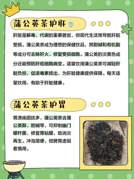 蒲公英泡水喝的功效与禁忌_长期喝有什么副作用-第1张图片-山城妙识