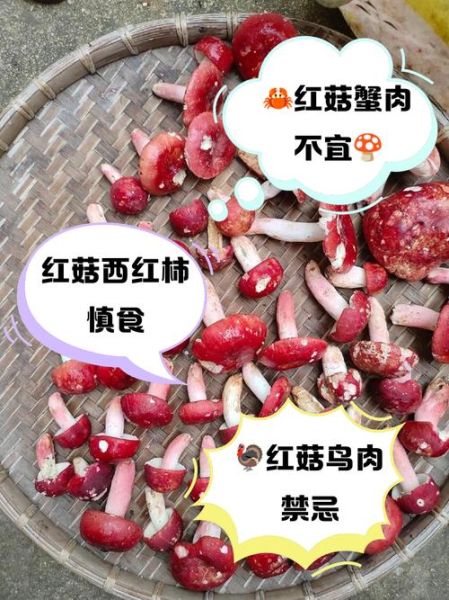 红菇不能和什么一起煮_红菇相克食物有哪些-第1张图片-山城妙识