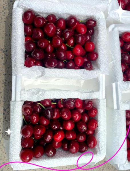 车厘子为什么那么贵_车厘子价格高的原因-第1张图片-山城妙识