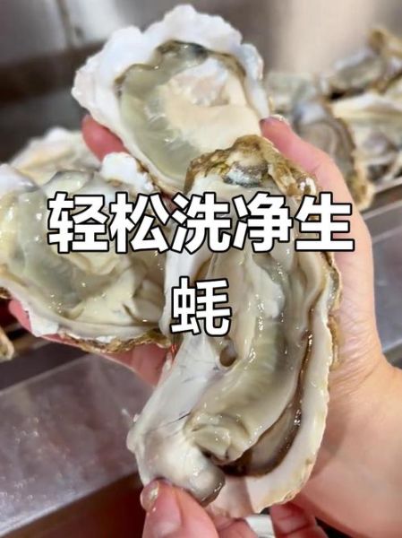 生蚝怎么处理干净_生蚝开壳技巧-第2张图片-山城妙识 生蚝怎么处理干净_生蚝开壳技巧-第2张图片-山城妙识