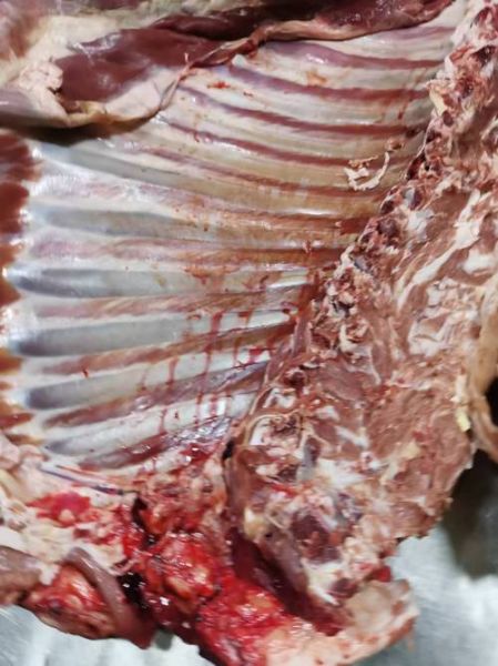 简阳羊肉汤哪家最正宗_本地人推荐老店-第1张图片-山城妙识