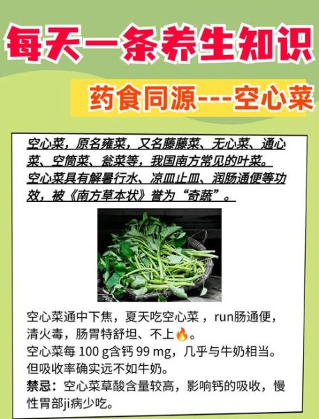 空心菜的最佳搭配_空心菜不能和什么一起吃-第2张图片-山城妙识