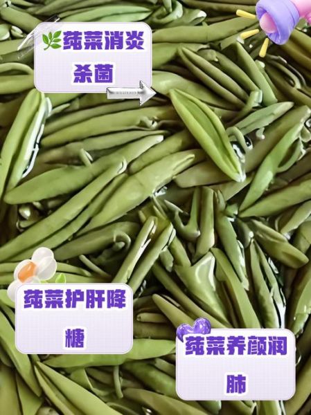 莼菜的功效与禁忌_什么人不能吃莼菜-第1张图片-山城妙识 莼菜的功效与禁忌_什么人不能吃莼菜-第1张图片-山城妙识