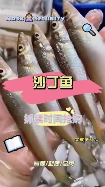 沙丁鱼怎么做好吃_沙丁鱼简单做法大全-第3张图片-山城妙识 沙丁鱼怎么做好吃_沙丁鱼简单做法大全-第3张图片-山城妙识