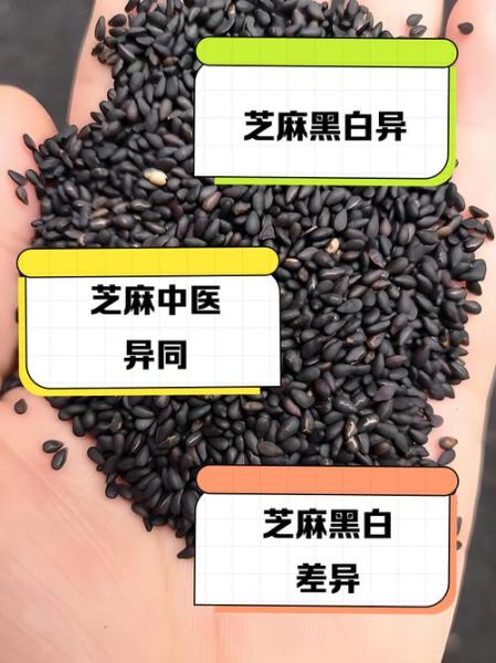 白芝麻和黑芝麻的营养区别_哪个更适合补钙-第3张图片-山城妙识