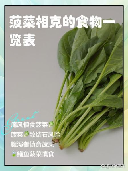 菠菜和豆腐能一起吃吗_食物相宜相克手册-第1张图片-山城妙识 菠菜和豆腐能一起吃吗_食物相宜相克手册-第1张图片-山城妙识