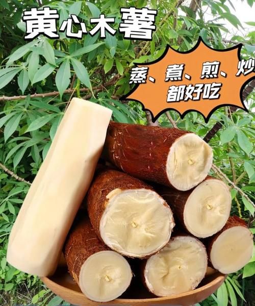 新鲜木薯怎么吃才安全_木薯去毒的正确方法-第3张图片-山城妙识