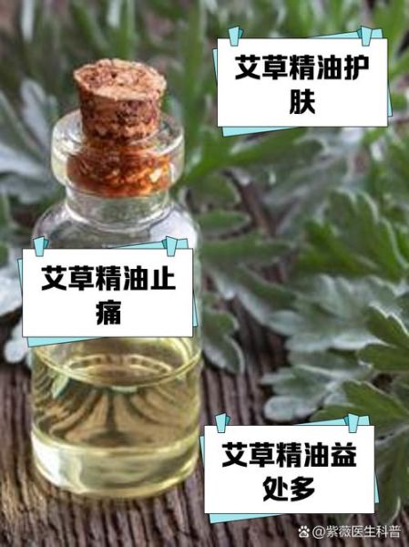 艾草精油怎么用_艾草精油可以直接涂吗-第3张图片-山城妙识