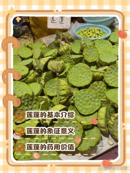 莲蓬r是什么_莲蓬r怎么吃-第3张图片-山城妙识