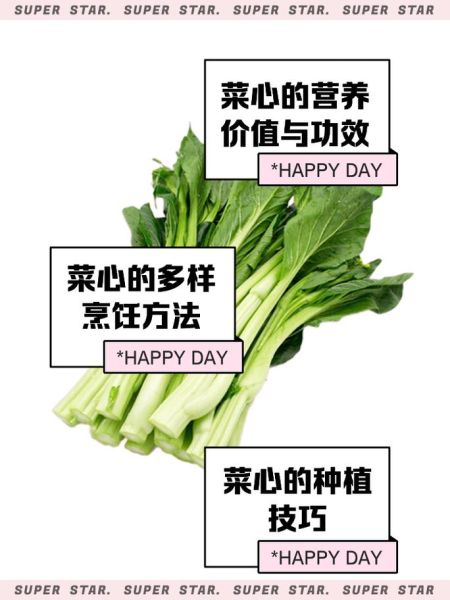 菜薹怎么炒好吃_菜薹和菜心区别-第2张图片-山城妙识 菜薹怎么炒好吃_菜薹和菜心区别-第2张图片-山城妙识