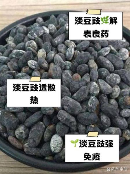 豆豉的功效与作用_豆豉怎么吃最养生-第3张图片-山城妙识
