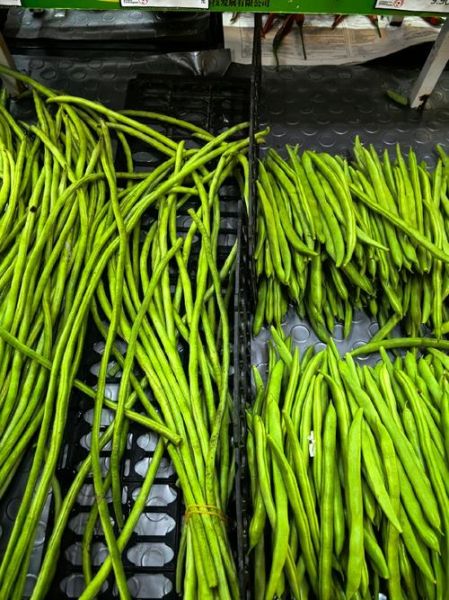 四季豆中毒轻微症状_吃了没煮熟的四季豆怎么办-第2张图片-山城妙识