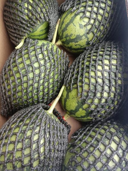 吊方瓜图片_如何挑选新鲜吊方瓜-第1张图片-山城妙识 吊方瓜图片_如何挑选新鲜吊方瓜-第1张图片-山城妙识