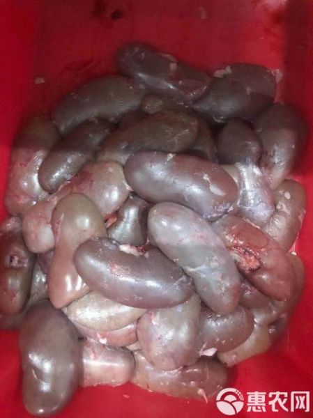 猪腰子多少钱一斤_新鲜猪腰子价格行情-第2张图片-山城妙识