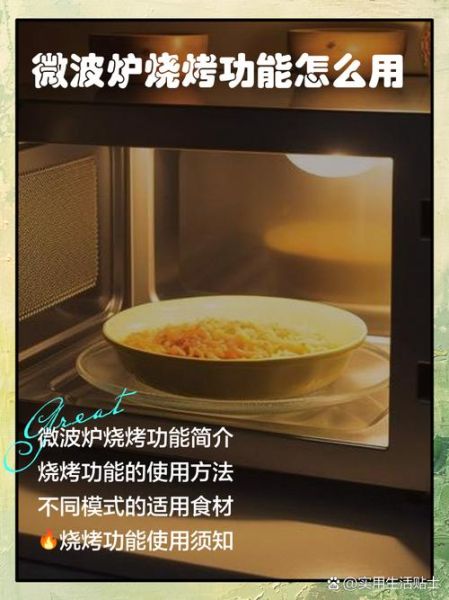 微波炉可以烤肉吗_微波炉烤肉怎么做-第2张图片-山城妙识 微波炉可以烤肉吗_微波炉烤肉怎么做-第2张图片-山城妙识