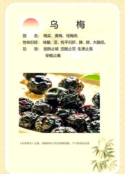 乌梅能杀幽门螺杆菌吗_乌梅怎么吃才有效-第2张图片-山城妙识 乌梅能杀幽门螺杆菌吗_乌梅怎么吃才有效-第2张图片-山城妙识