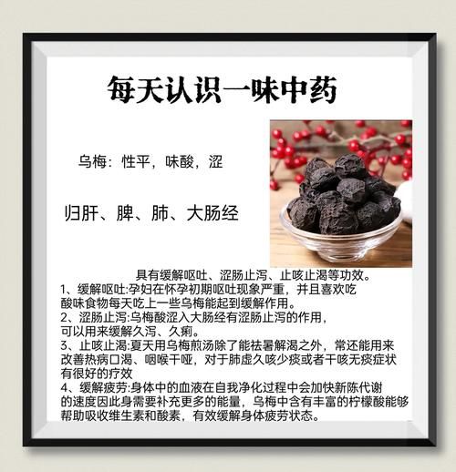 乌梅能杀幽门螺杆菌吗_乌梅怎么吃才有效-第1张图片-山城妙识 乌梅能杀幽门螺杆菌吗_乌梅怎么吃才有效-第1张图片-山城妙识