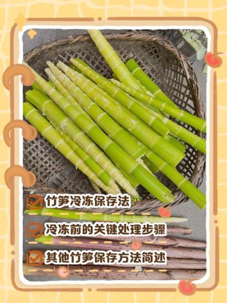 鲜笋的功效与作用_鲜笋的禁忌有哪些-第2张图片-山城妙识