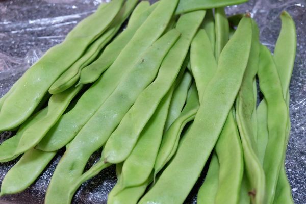 大宽扁豆图片大全_大宽扁豆长什么样-第1张图片-山城妙识