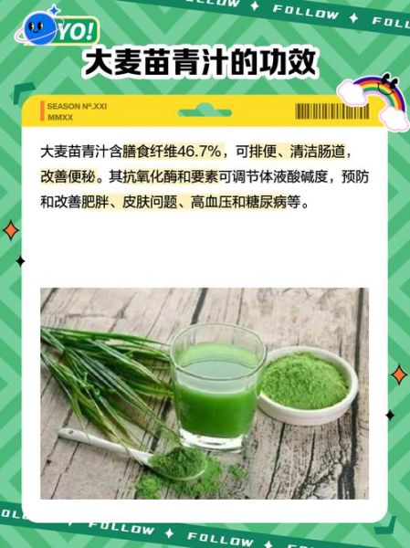 小麦苗的功效与作用_小麦苗汁能天天喝吗-第2张图片-山城妙识