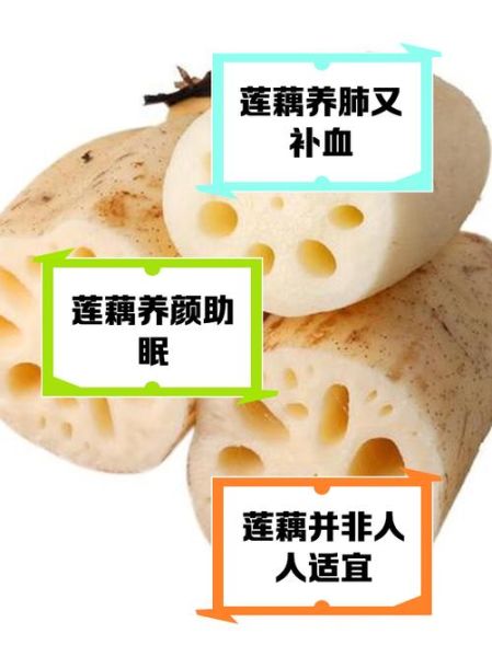 吃藕的好处和坏处_莲藕吃多了有什么副作用-第2张图片-山城妙识