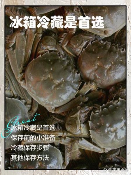 活螃蟹冷冻后还能吃吗_冷冻螃蟹保存多久-第3张图片-山城妙识