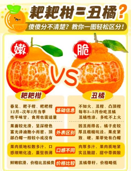 丑柑和耙耙柑的区别_哪个更好吃-第1张图片-山城妙识 丑柑和耙耙柑的区别_哪个更好吃-第1张图片-山城妙识