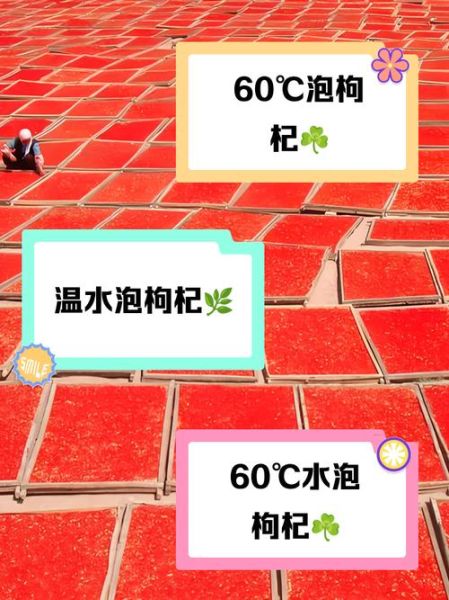 枸杞怎么泡水_枸杞泡水一次放多少粒-第1张图片-山城妙识