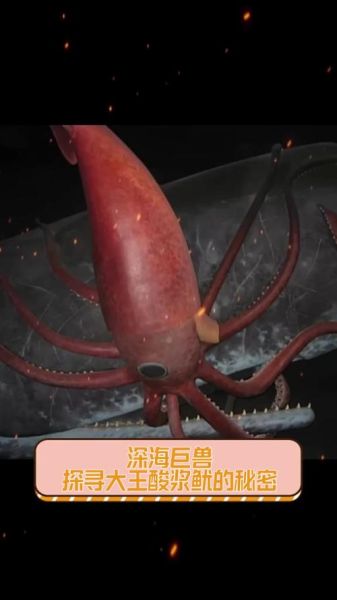 大王酸浆鱿有毒吗_大王酸浆鱿为什么不能吃-第3张图片-山城妙识