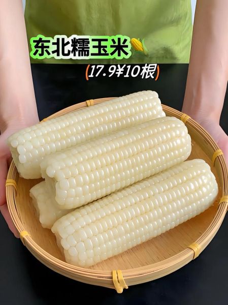 东北粘玉米图片哪里找_东北粘玉米怎么做好吃-第3张图片-山城妙识 东北粘玉米图片哪里找_东北粘玉米怎么做好吃-第3张图片-山城妙识