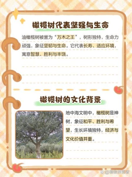 橄榄枝象征着什么意义_橄榄枝的寓意和象征-第2张图片-山城妙识 橄榄枝象征着什么意义_橄榄枝的寓意和象征-第2张图片-山城妙识