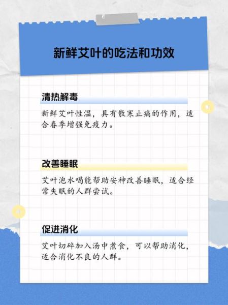 艾叶怎么吃_艾叶的吃法大全-第1张图片-山城妙识