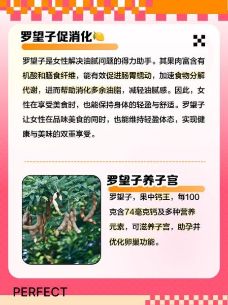 罗望子果的功效与作用_罗望子果怎么吃-第1张图片-山城妙识