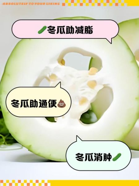 冬瓜减肥法3天瘦20斤真的吗_冬瓜减肥正确吃法-第1张图片-山城妙识 冬瓜减肥法3天瘦20斤真的吗_冬瓜减肥正确吃法-第1张图片-山城妙识
