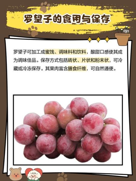 罗望子果的功效与作用_罗望子果怎么吃-第2张图片-山城妙识