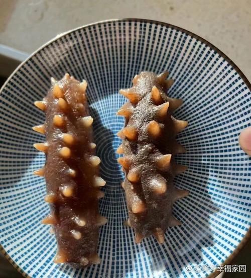 即食海参怎么保存_即食海参冷冻还是冷藏-第1张图片-山城妙识