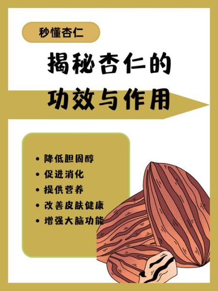 大杏仁的功效与作用_一天吃多少粒最好-第1张图片-山城妙识 大杏仁的功效与作用_一天吃多少粒最好-第1张图片-山城妙识