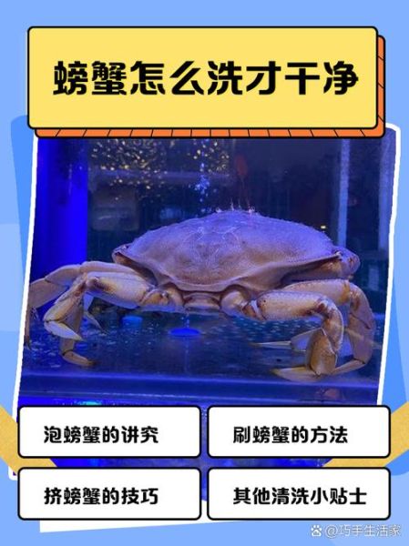 洗螃蟹怎么洗的干净_放盐吗-第2张图片-山城妙识