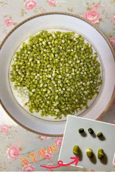 家里怎么生绿豆芽_绿豆芽发芽全过程-第2张图片-山城妙识