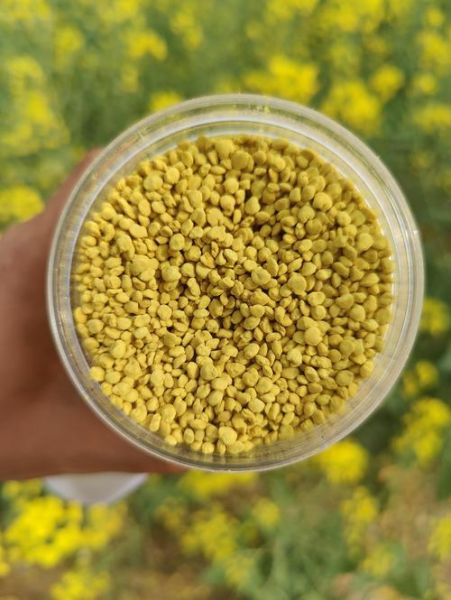 油菜花粉吃了三年有什么变化_油菜花粉长期吃安全吗-第3张图片-山城妙识