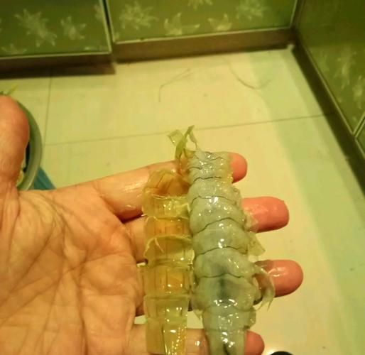 皮皮虾需要处理吗_怎么清洗才干净-第3张图片-山城妙识