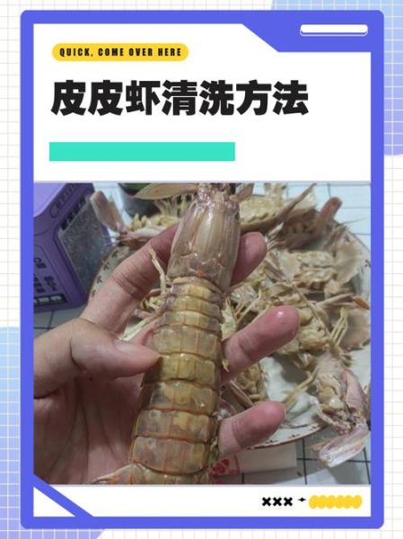 皮皮虾需要处理吗_怎么清洗才干净-第1张图片-山城妙识