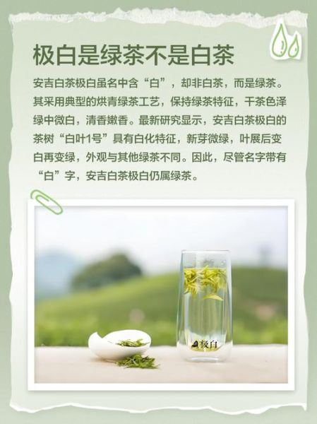 安吉白茶的功效与作用禁忌_哪些人不能喝-第2张图片-山城妙识 安吉白茶的功效与作用禁忌_哪些人不能喝-第2张图片-山城妙识