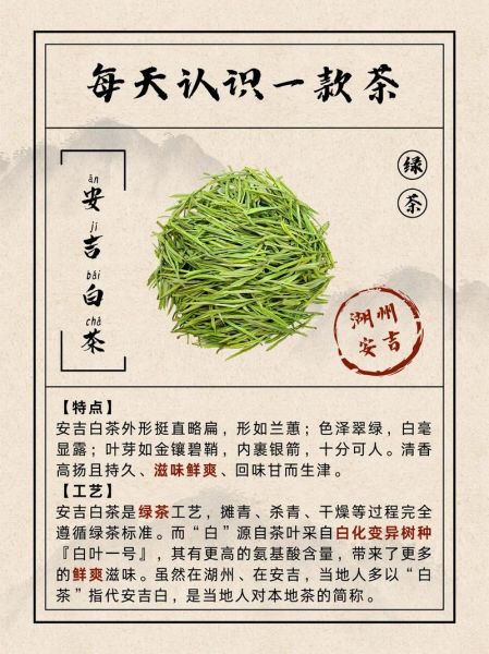 安吉白茶的功效与作用禁忌_哪些人不能喝-第3张图片-山城妙识 安吉白茶的功效与作用禁忌_哪些人不能喝-第3张图片-山城妙识