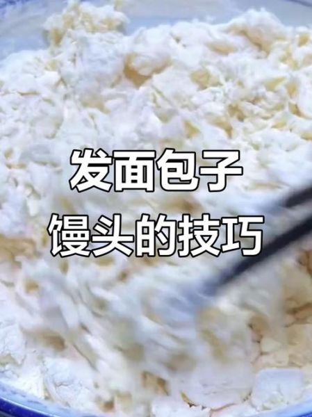 发酵粉怎么用最好_发面最快的方法-第3张图片-山城妙识