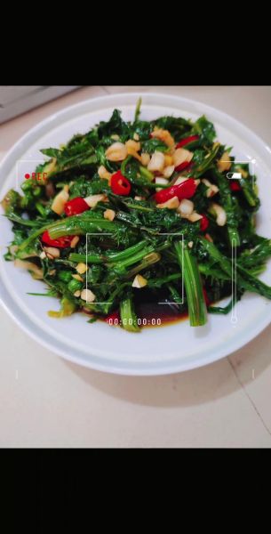 蒲公英怎么吃比较好_蒲公英的吃法有哪些-第1张图片-山城妙识 蒲公英怎么吃比较好_蒲公英的吃法有哪些-第1张图片-山城妙识