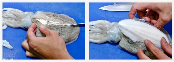墨鱼怎么清洗_墨鱼快速去膜技巧-第3张图片-山城妙识 墨鱼怎么清洗_墨鱼快速去膜技巧-第3张图片-山城妙识